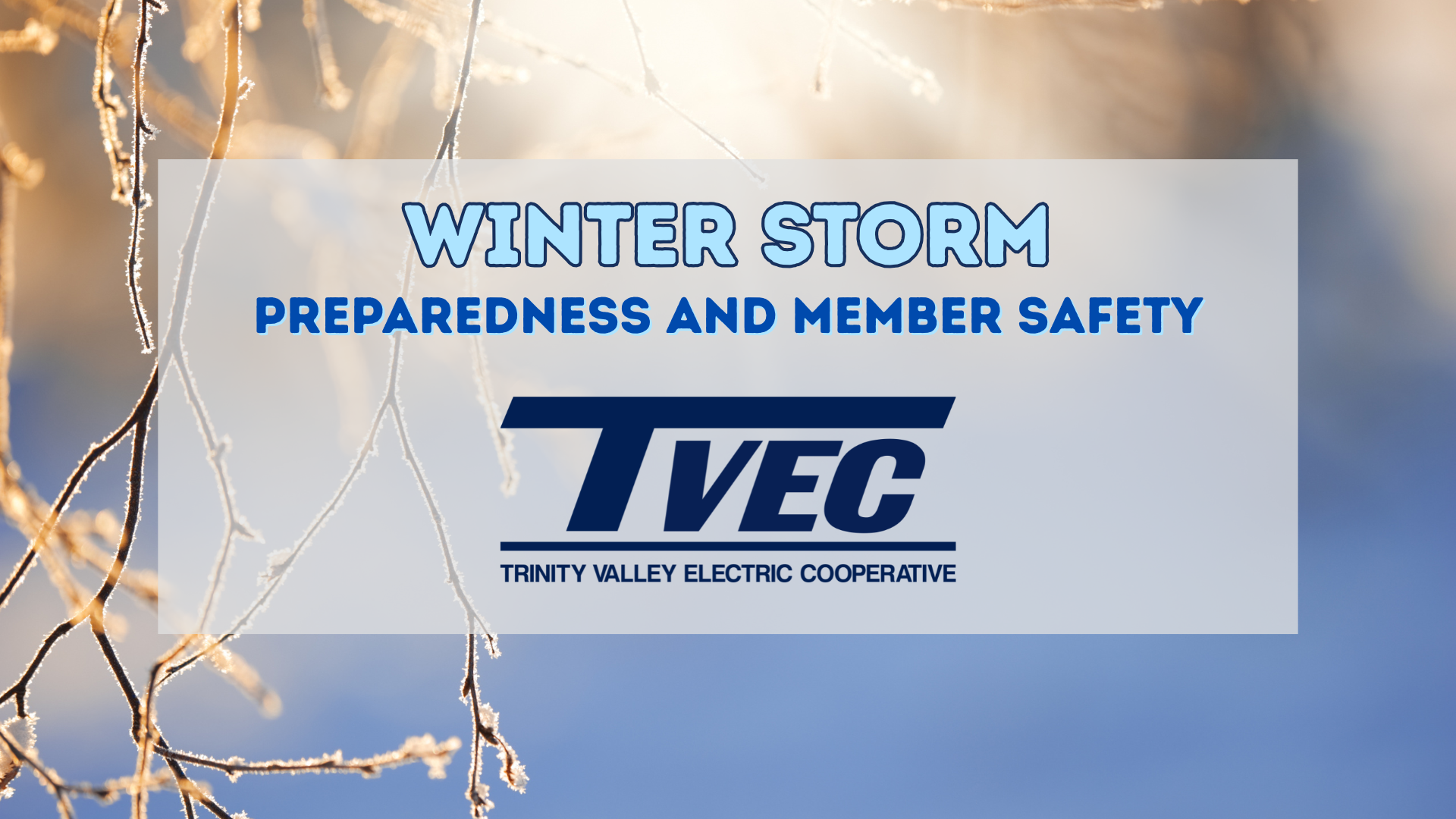Trinity Valley Electric Cooperative