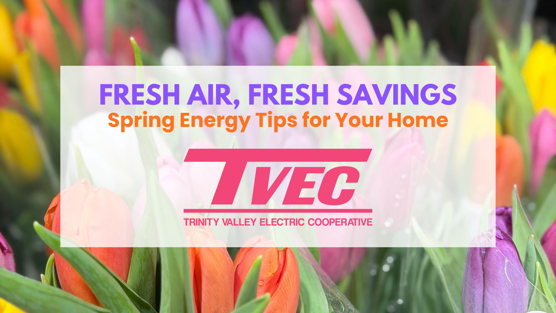 Trinity Valley Electric Cooperative