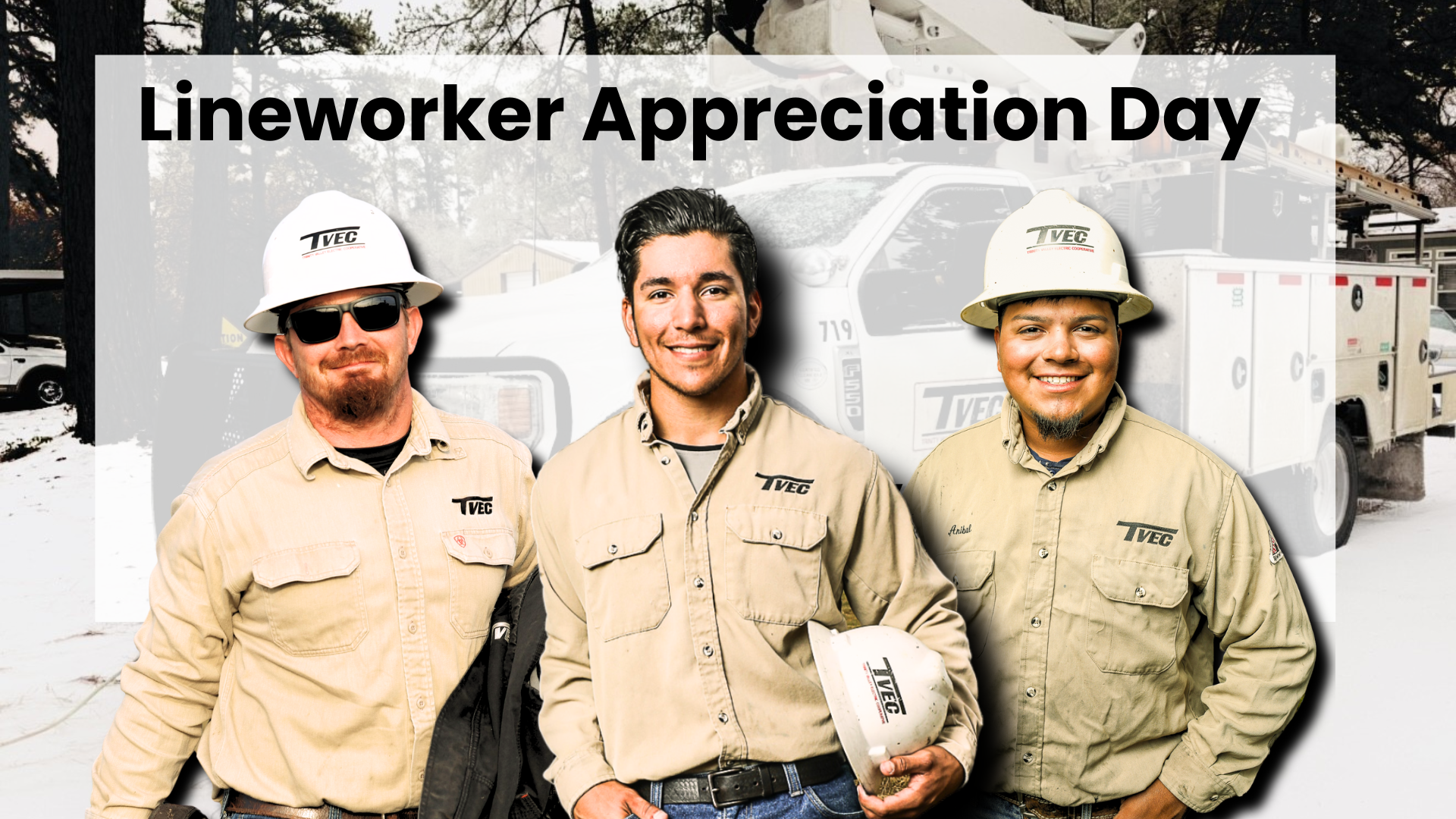 Trinity Valley Electric Cooperative